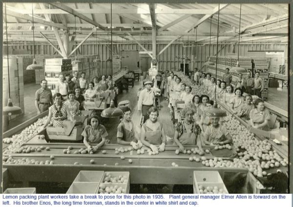 History of the Fallbrook Citrus Association – Fallbrook Historical Society