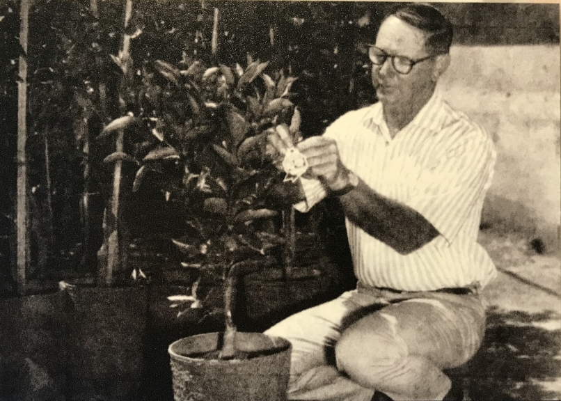 2016 Vintage Business of the Year – Fallbrook Historical Society